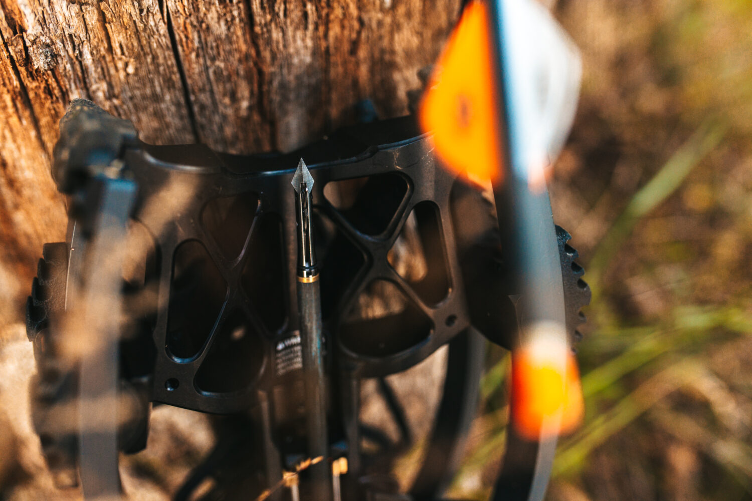 Your Guide to Archery and Crossbow Season in West Virginia