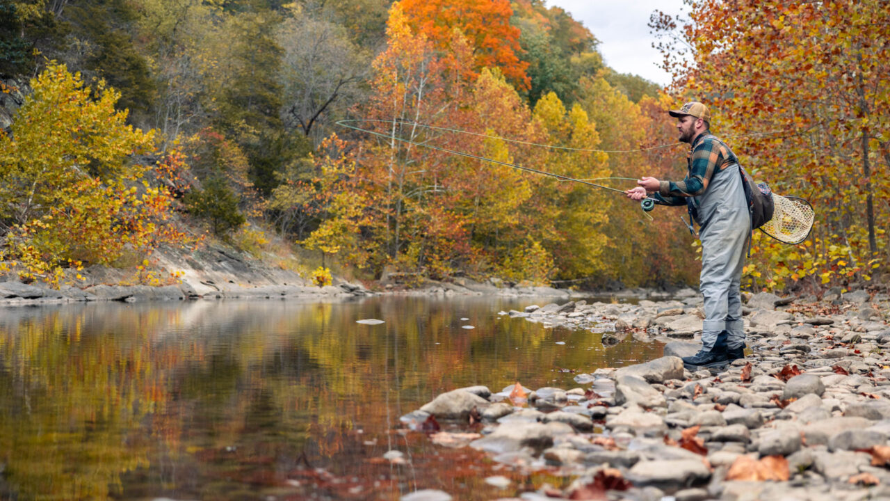 Gov. Justice announces fall trout stockings return of Monster Trout ...