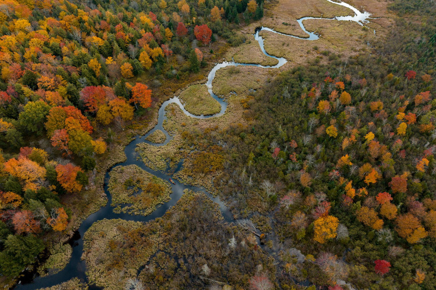 4 unique ways the WVDNR protects West Virginia’s public lands