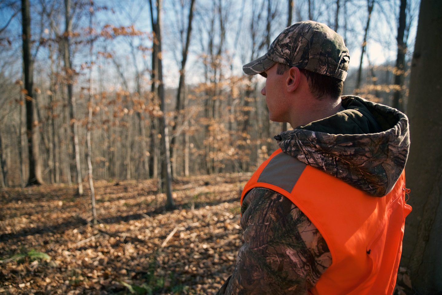 Antlerless Deer Season: A Complete Guide - WVDNR