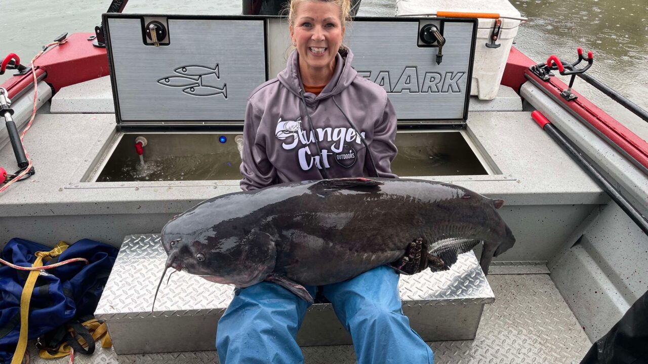 Gov. Justice announces record blue catfish on the Ohio River