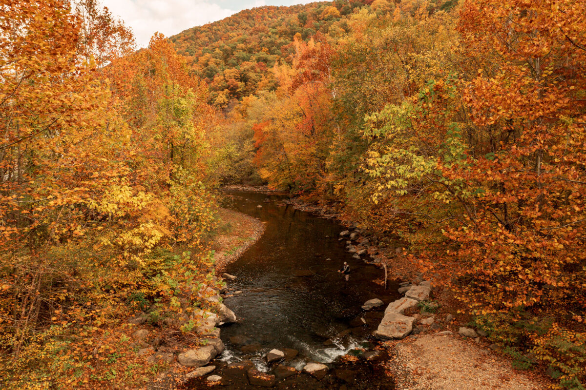 2025 Fall Trout Stocking Guide