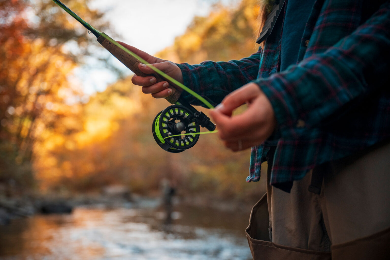2025 Fall Trout Stocking: Dates & Locations - News Usa Today