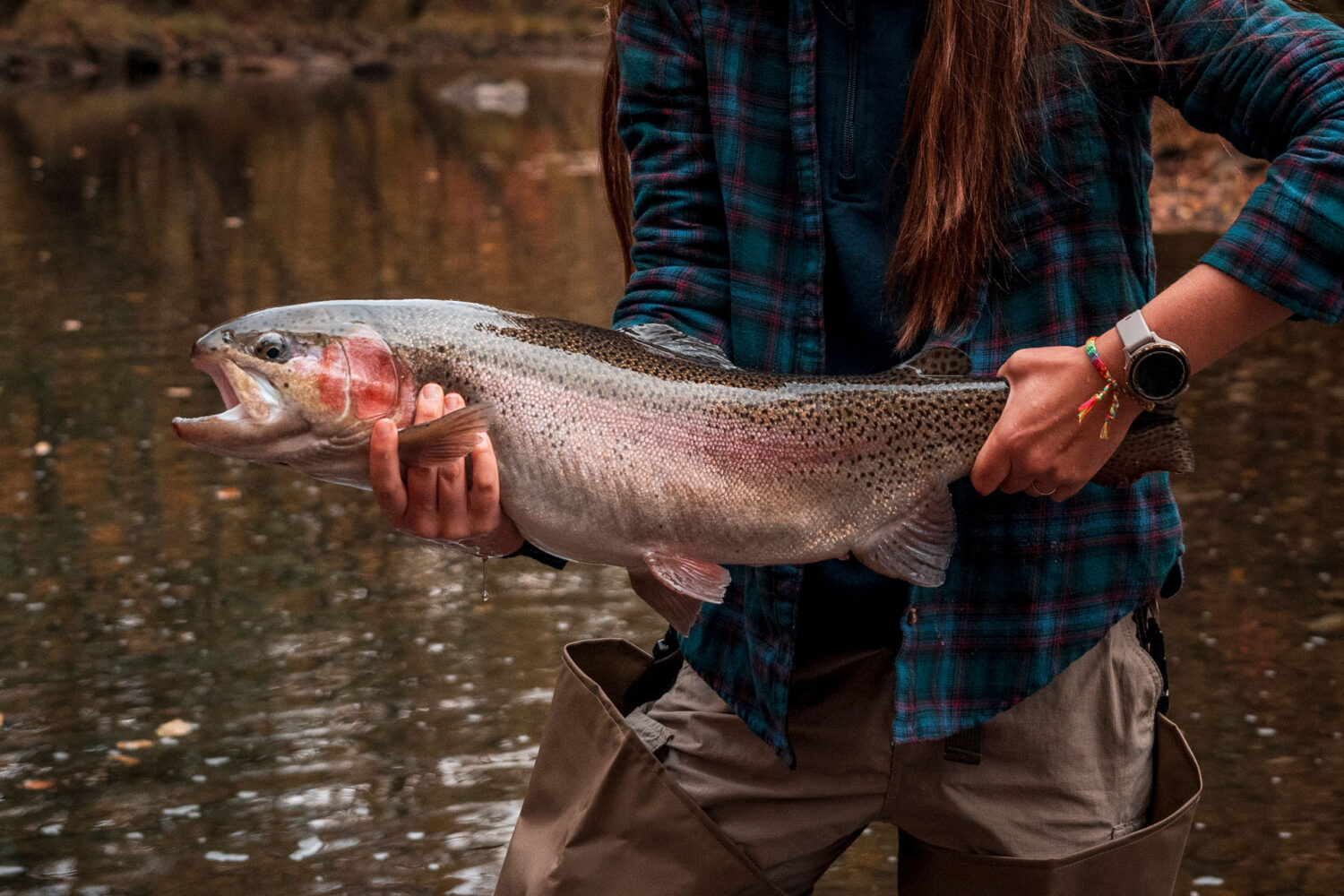 2025 Fall Trout Stocking: Dates & Locations - News Usa Today