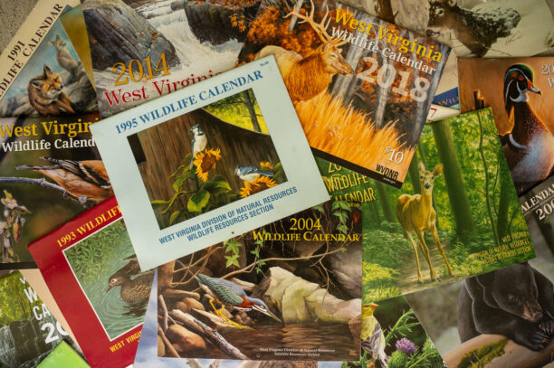 WVDNR seeks art for West Virginia Wildlife Calendar Contest - WVDNR