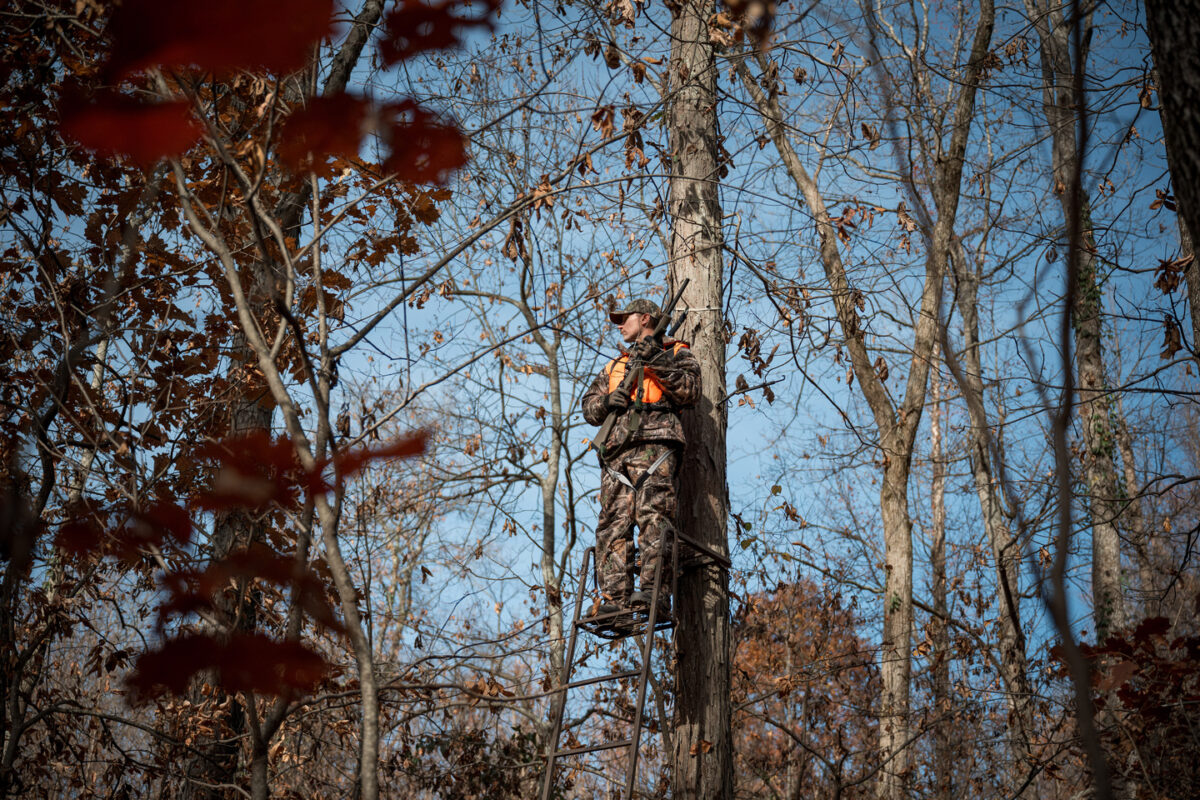 WVDNR reminds hunters about tree stand safety - WVDNR