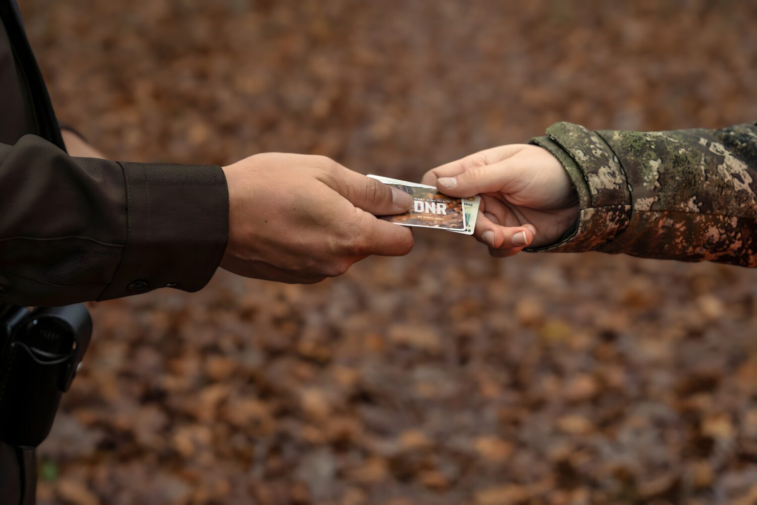 2025 West Virginia hunting, trapping, fishing licenses now on sale - WVDNR