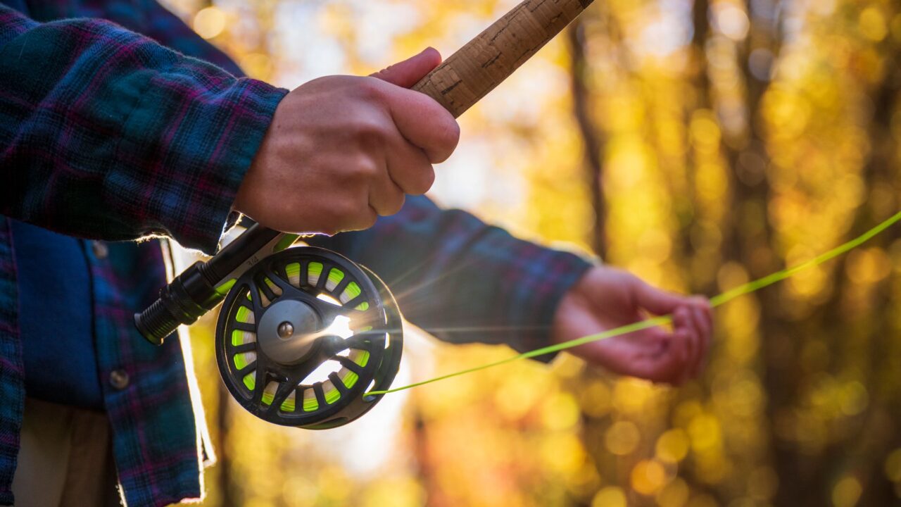 WVDNR releases updated fishing regulations - WVDNR