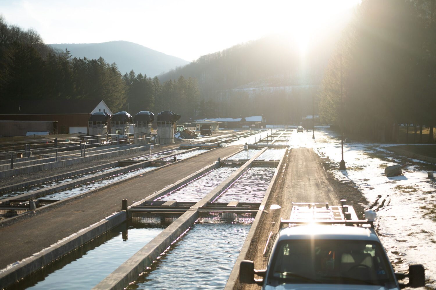 WVDNR stocks 4 waters during week of Jan. 20 - WVDNR