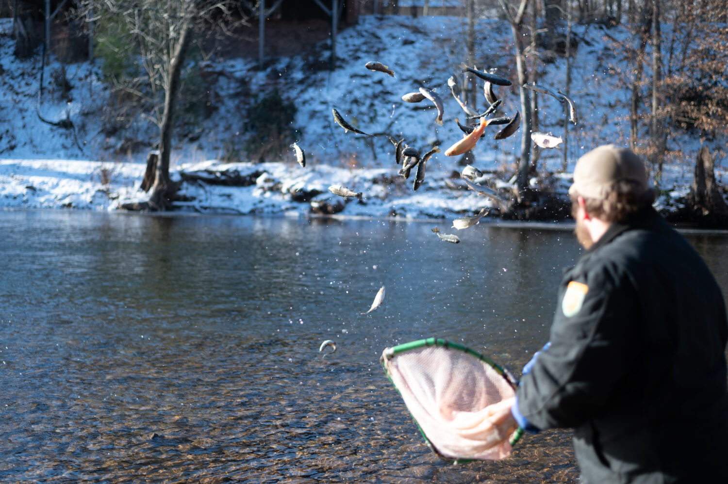 WVDNR announces return of trout stockings - WVDNR