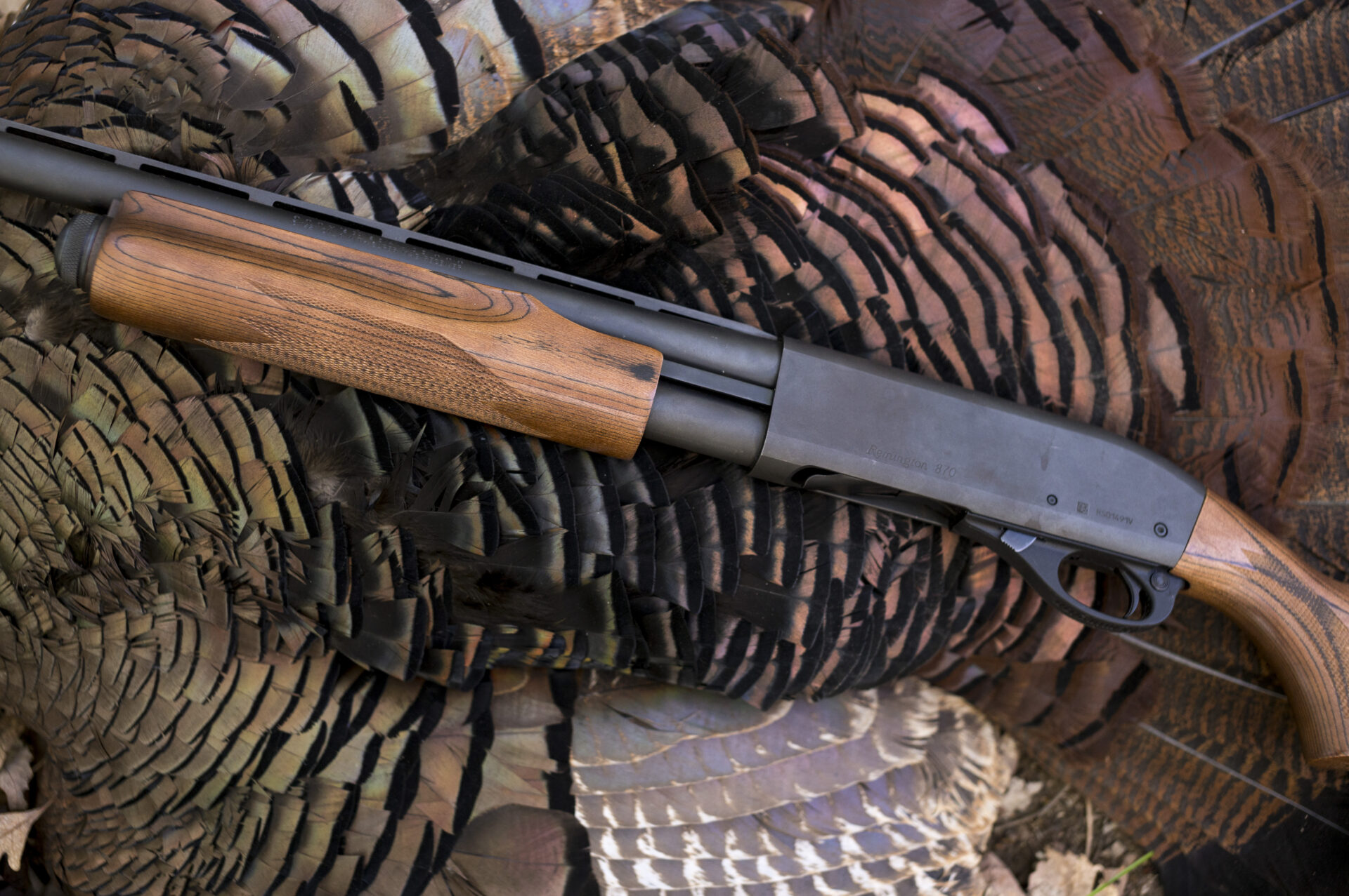 Your 2025 Guide to Spring Gobbler Season in West Virginia
