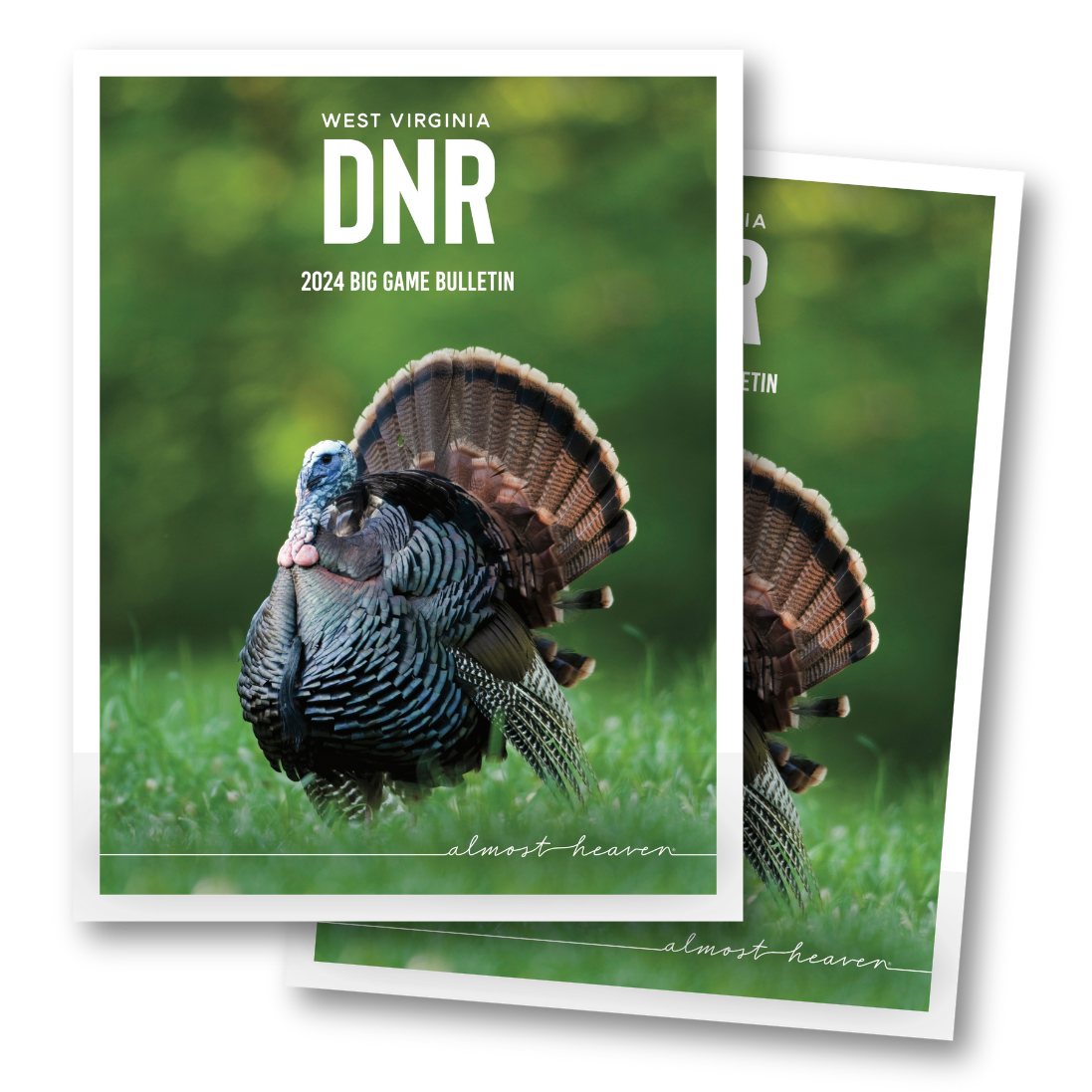 Big Game Hunting in West Virginia | WVDNR