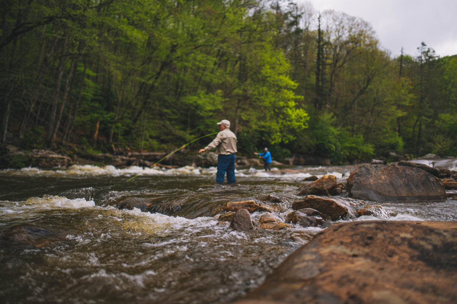 West Virginia Gold Rush 2025 Guide - WVDNR