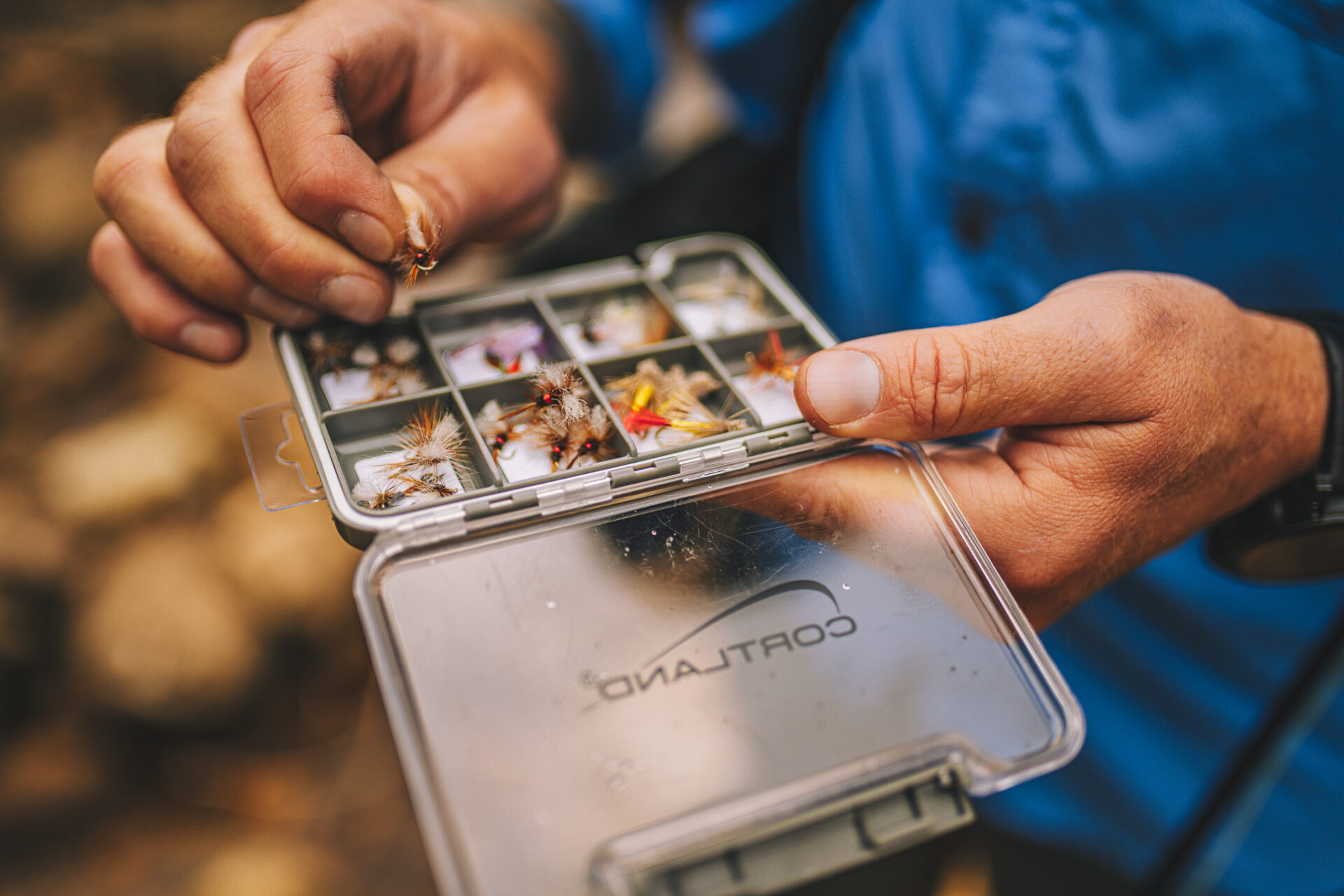 West Virginia Gold Rush 2025 Guide - WVDNR