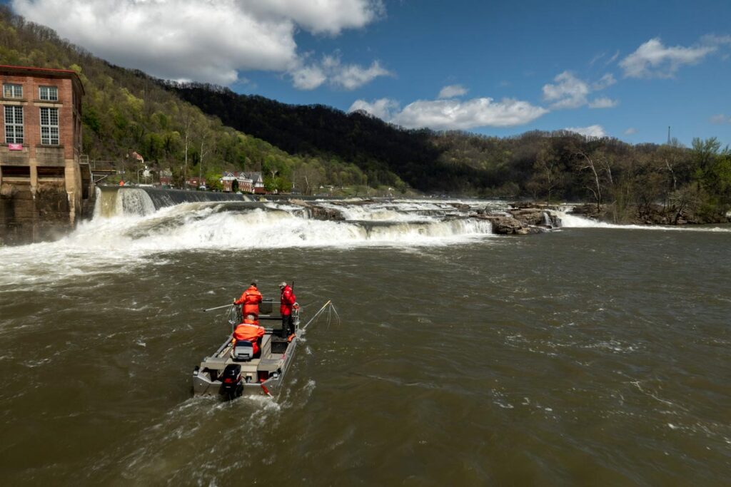 West Virginia Musky: Inside the WVDNR Spawning Program