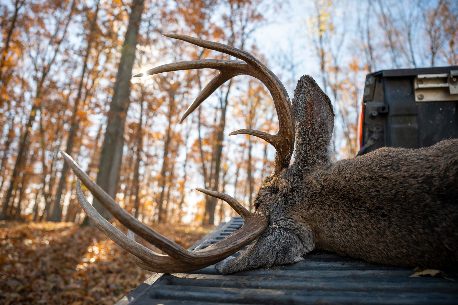 From Field to Fork: The Health Benefits of West Virginia Wild Game - WVDNR