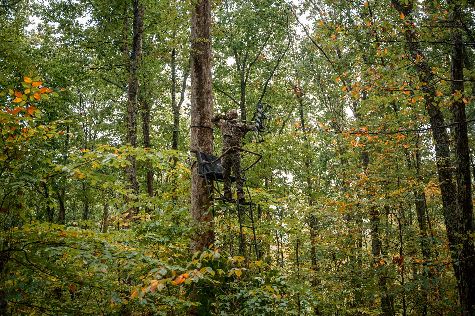 Know Before You Go: Avoid These Common Hunting Mistakes - WVDNR