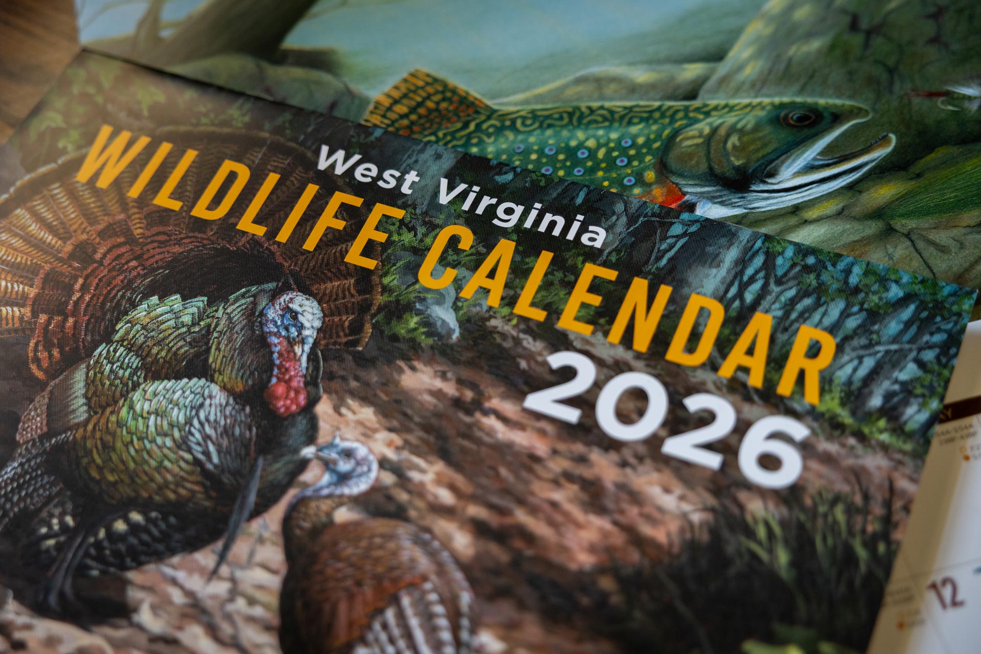 2026 West Virginia Wildlife Calendar Now Available to Purchase - WVDNR