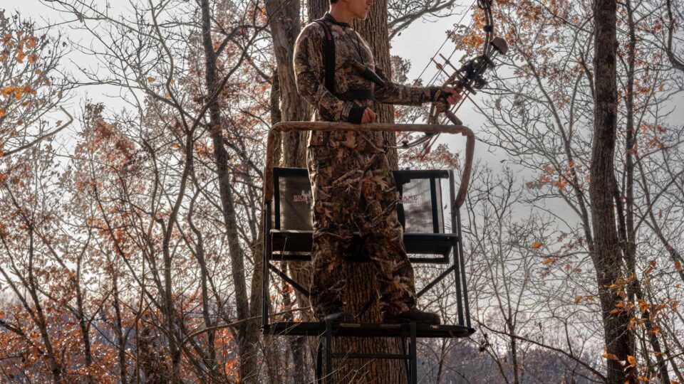 Archery and Crossbow Seasons Open Sept. 27 in West Virginia - WVDNR