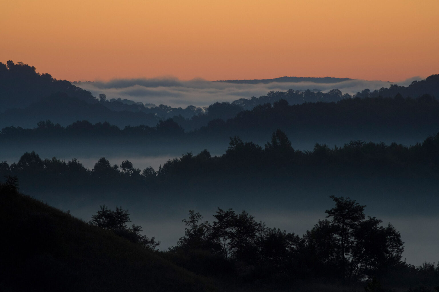 Elk in West Virginia